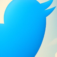 Simon Twitter Bird (Simon) - Complete Cryptocurrency Details & Analysis